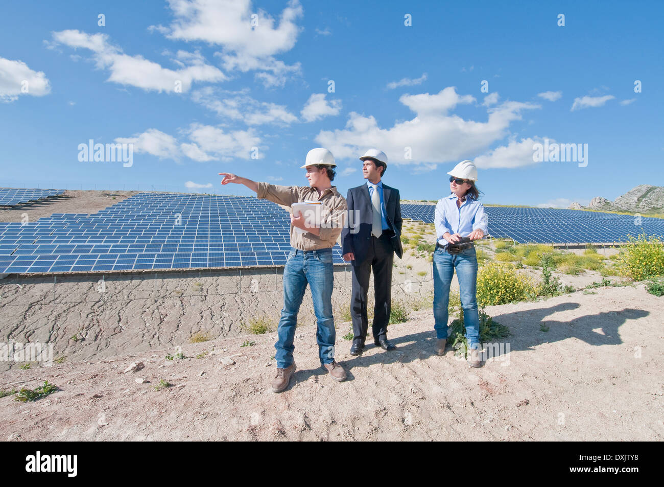 engineers and businessman in solar plant Stock Photo - Alamy