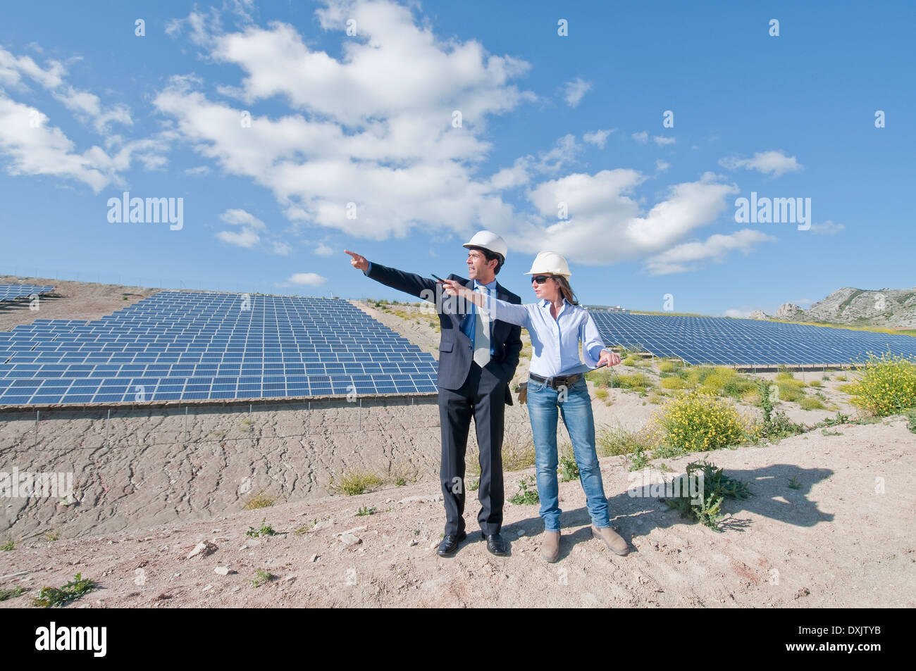 engineer and businessman in solar plant Stock Photo - Alamy