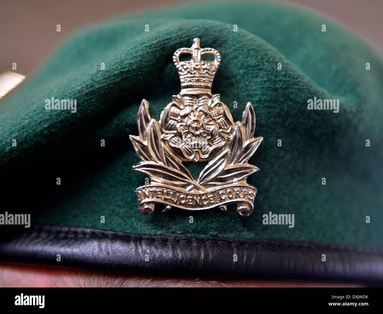 This Army event at Upavon Wiltshire revealed the specialist, combat and ...