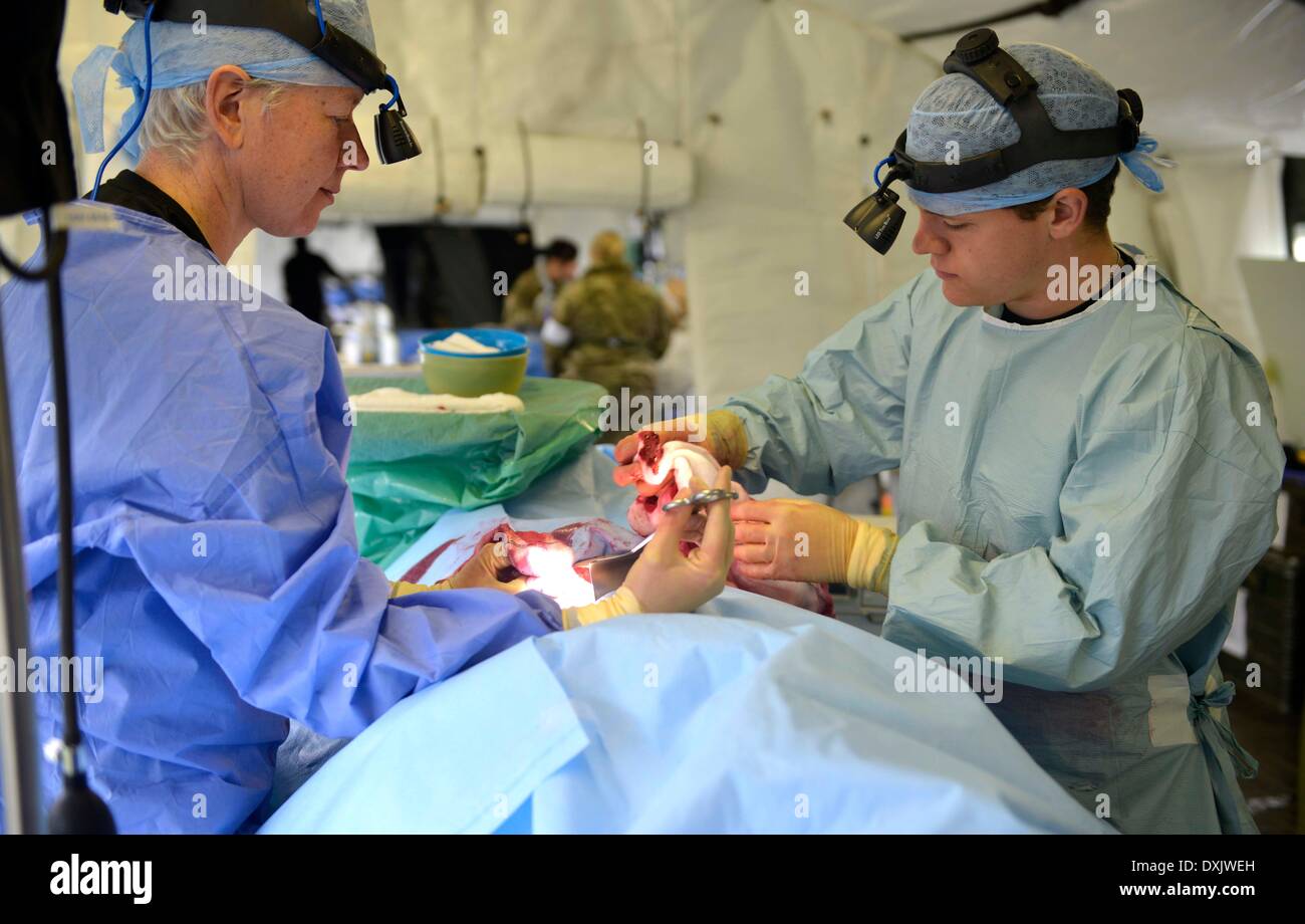 A full mobile tented hospital that has operating theatres, X Ray, MRI ...