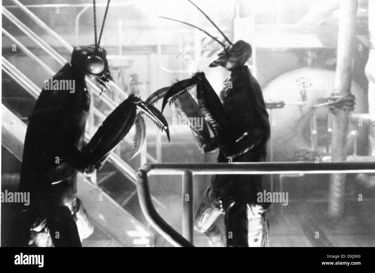 MEET THE APPLEGATES Stock Photo - Alamy