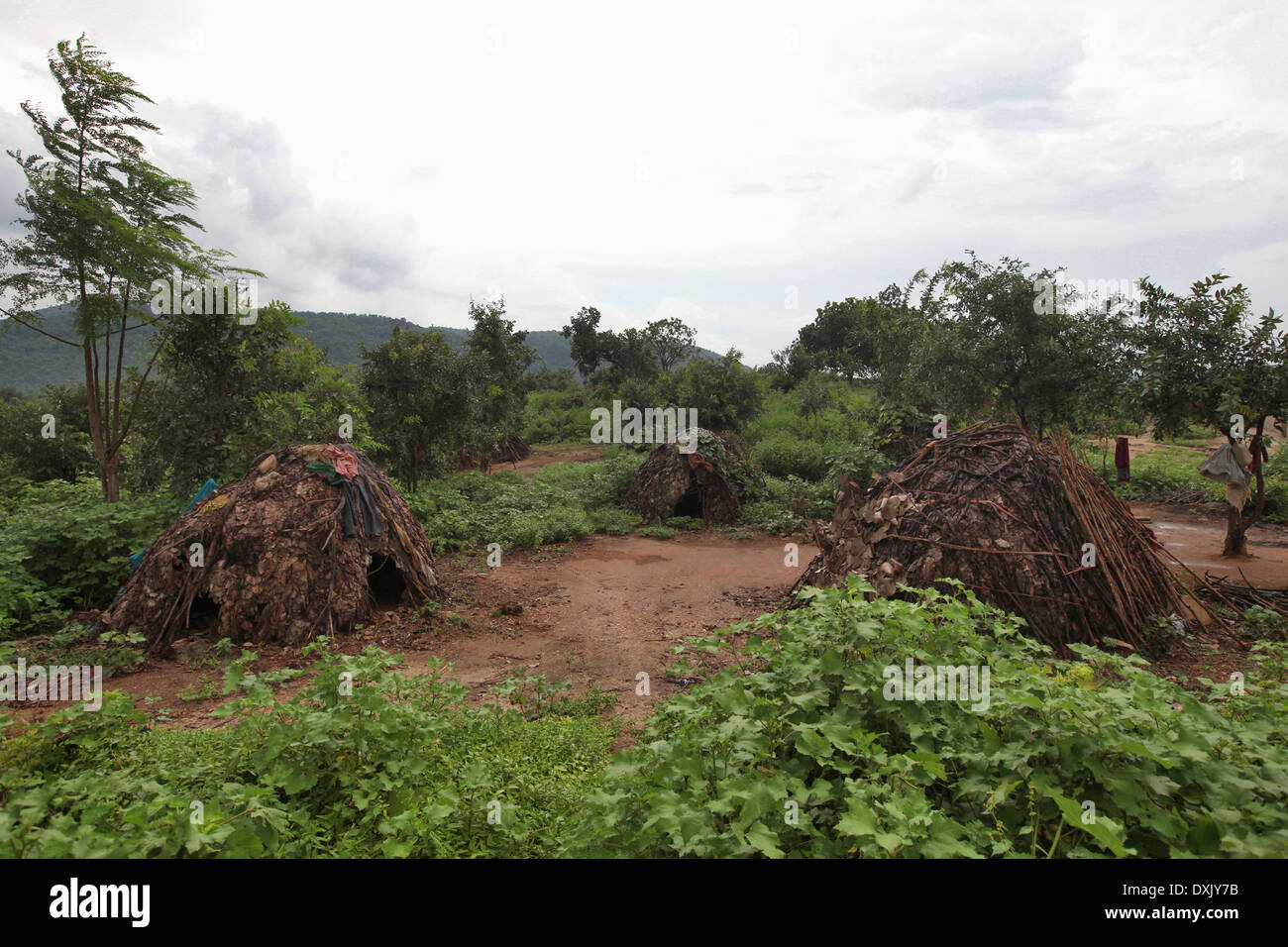 Tribal settlement, tands or bandas. Birhor tribe. Keredari village and ...