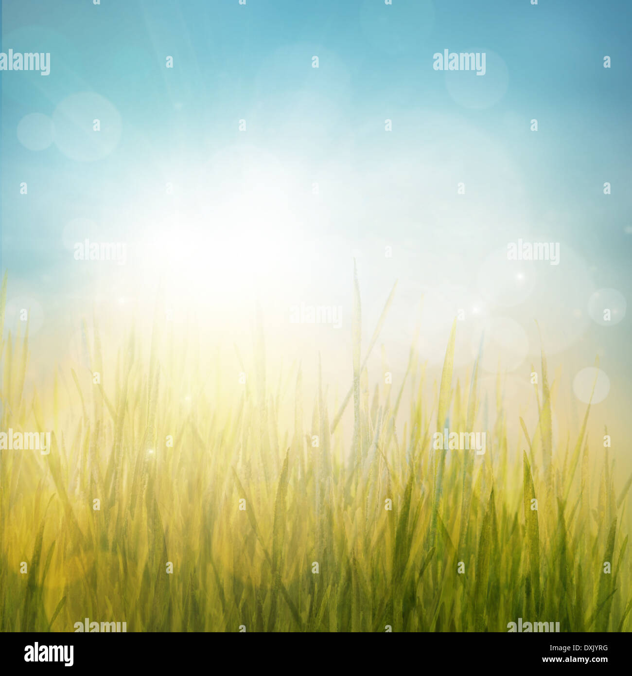 Design background. Spring or summer nature background Stock Photo - Alamy