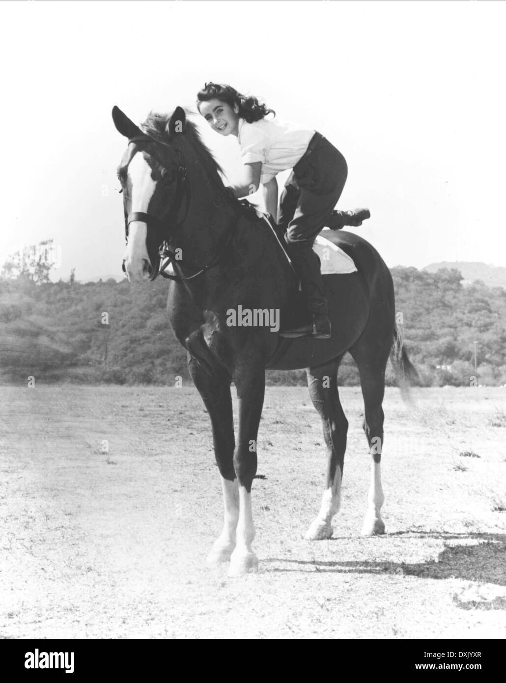 Elizabeth taylor national velvet hi-res stock photography and images ...