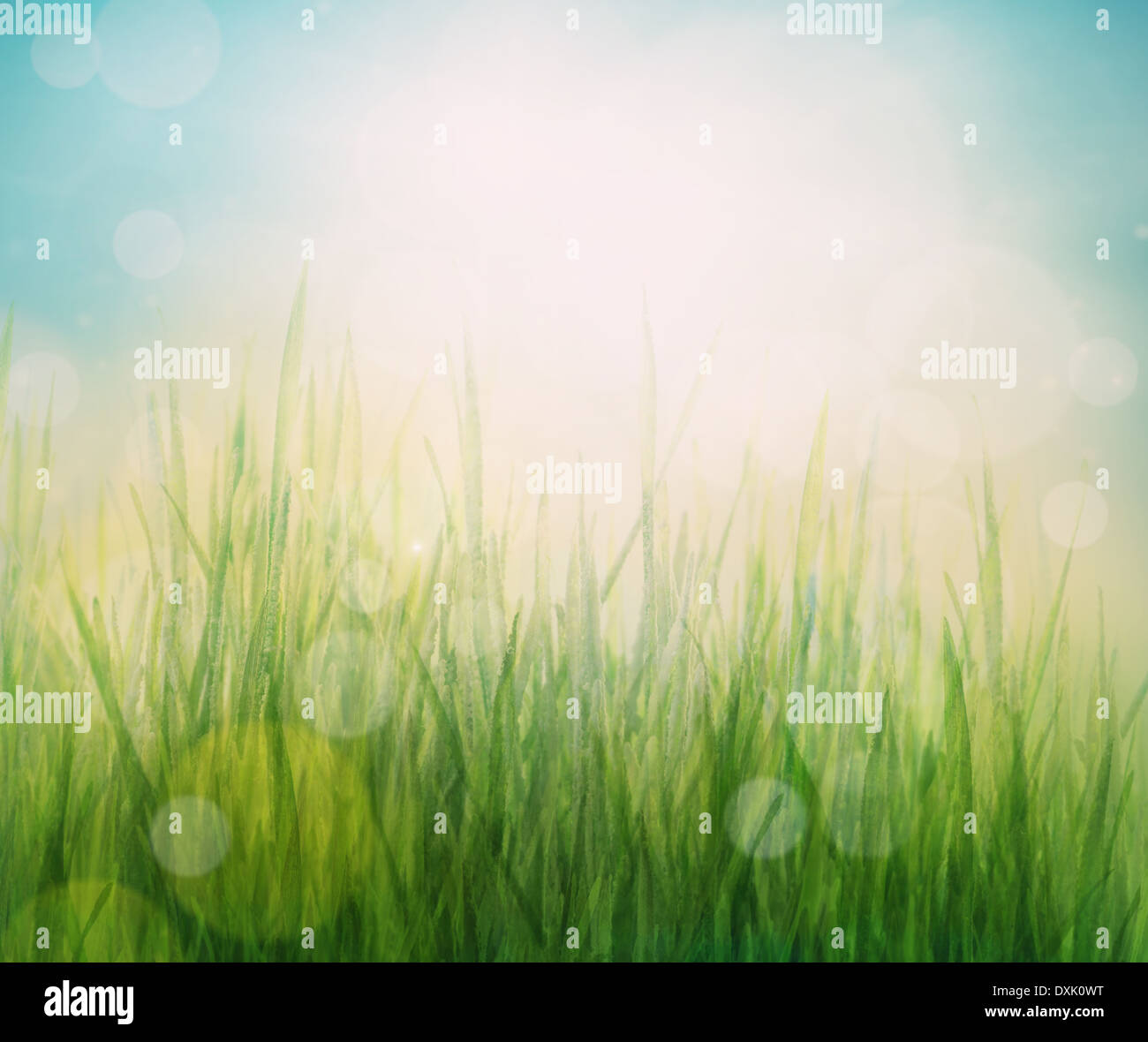 Design background. Spring or summer nature background Stock Photo - Alamy