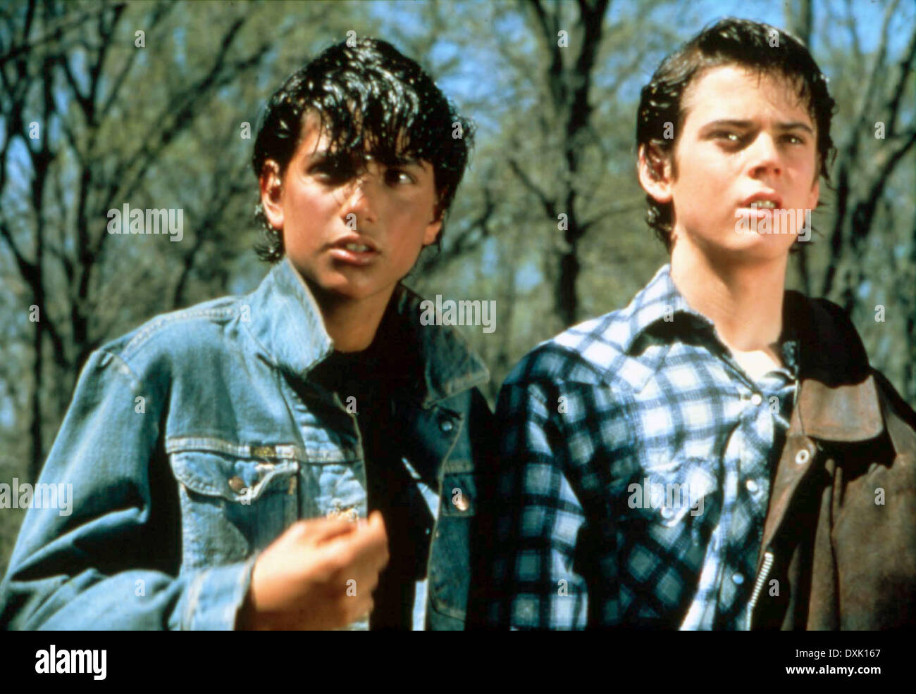 The outsiders 1983 hi-res stock photography and images - Alamy