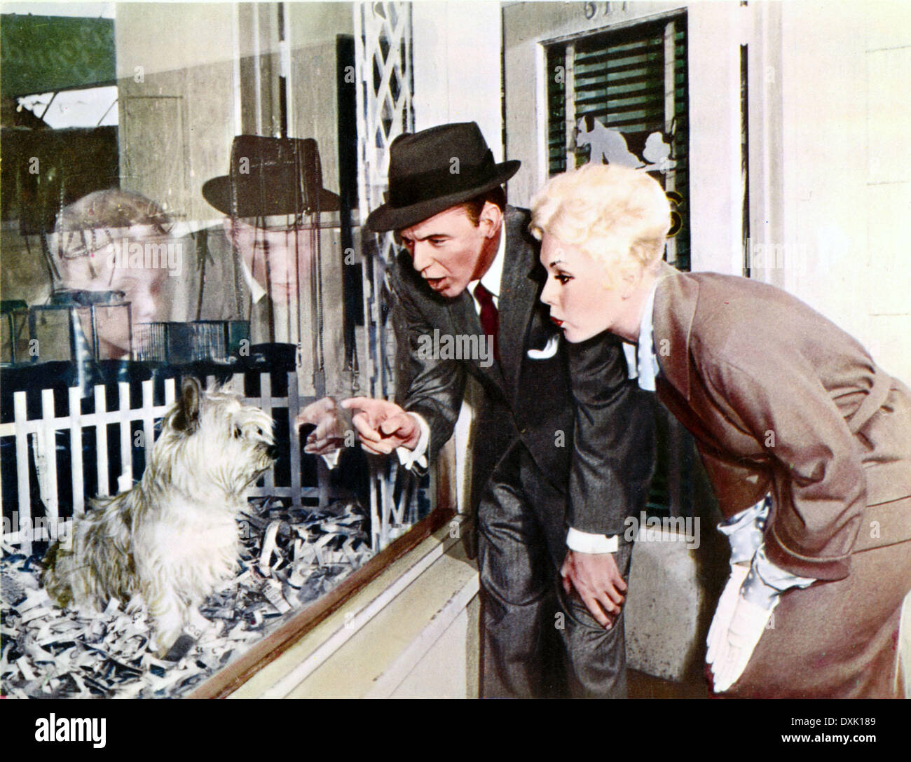 Frank sinatra kim novak pal joey 1957 hi-res stock photography and ...