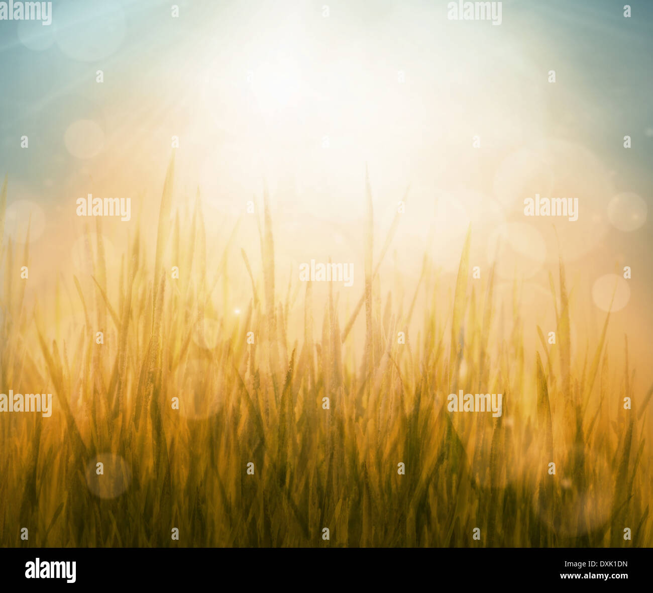 Design background. Spring or summer nature background Stock Photo - Alamy