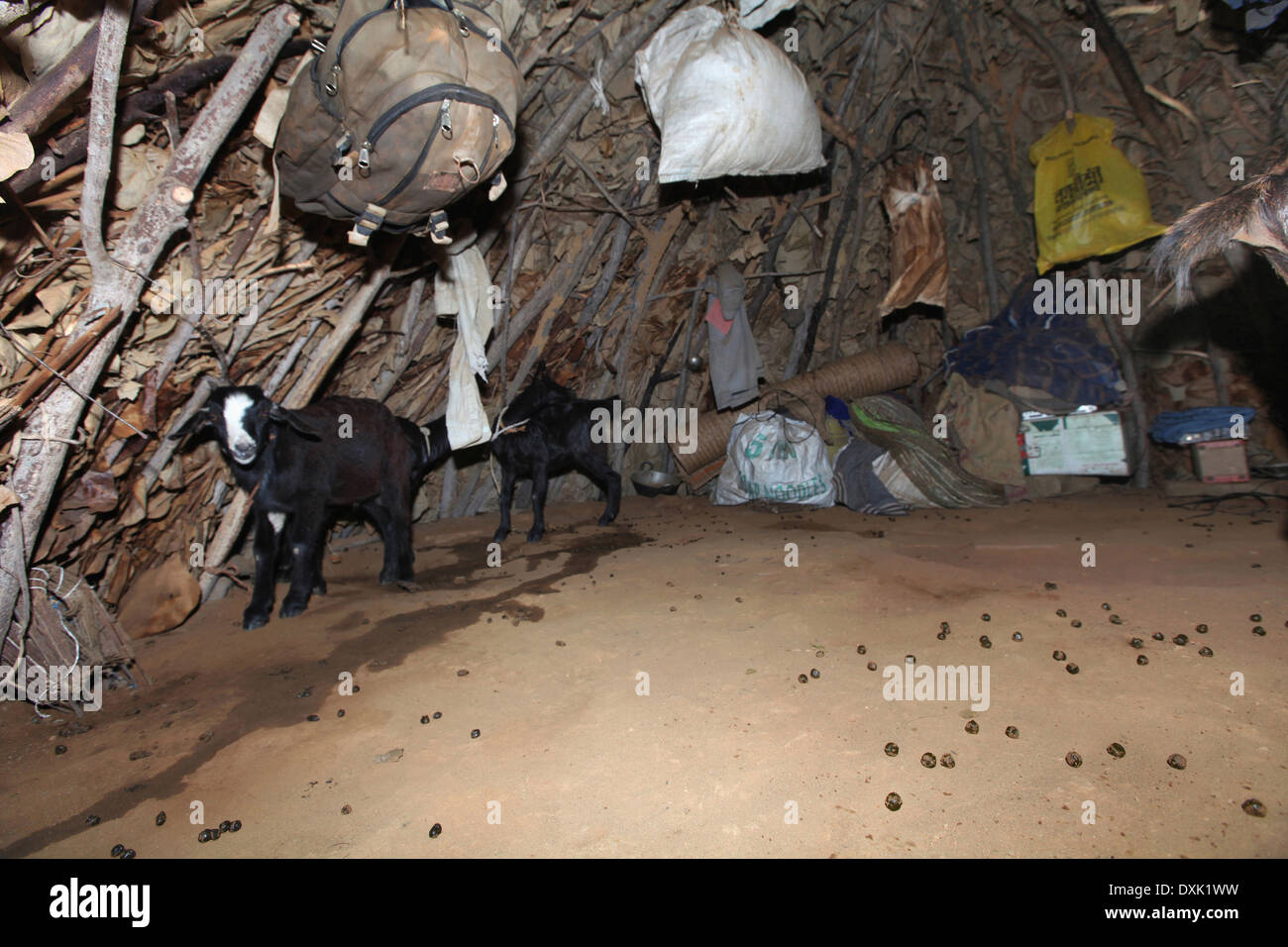 Village Hut India High Resolution Stock Photography and Images - Alamy