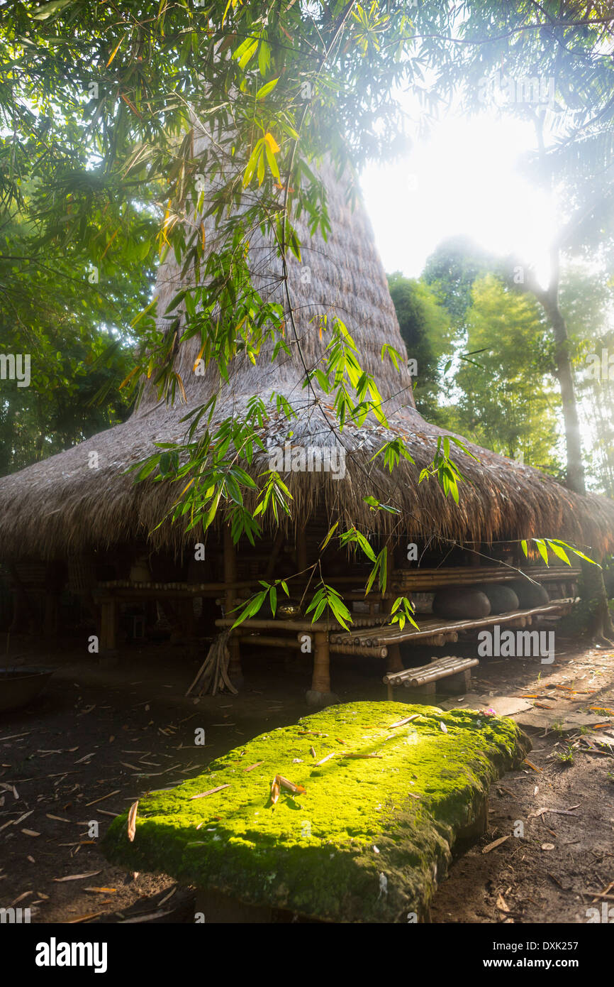 Trees around thatched Balinese hut, Ubud, Bali, Indonesia Stock Photo ...