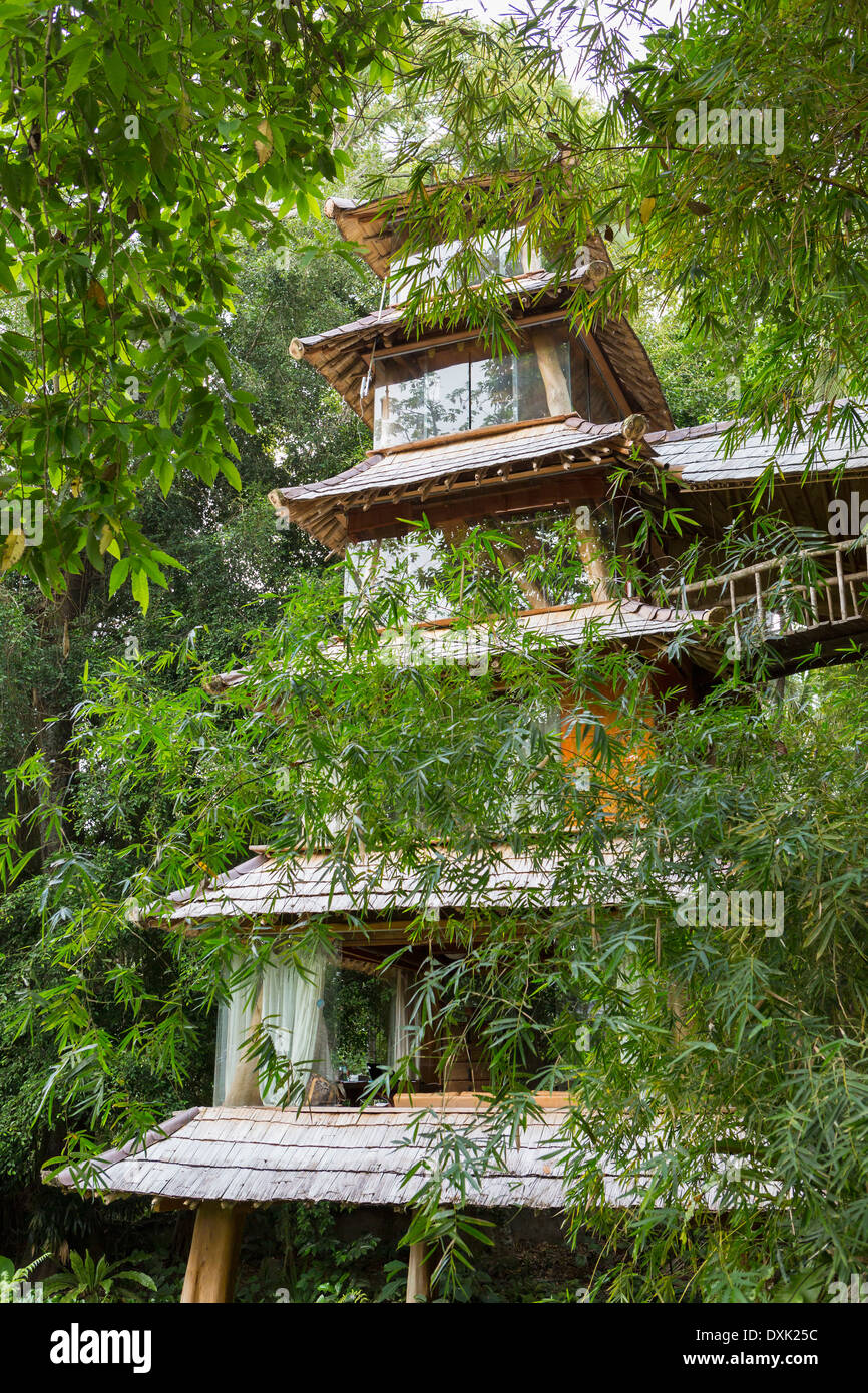 Bamboo trees around Balinese pagoda, Ubud, Bali, Indonesia Stock Photo ...