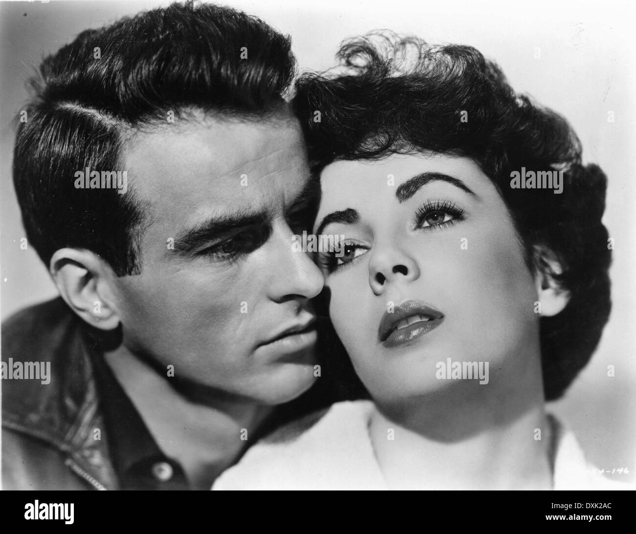 Shelley Clift's Instagram, Twitter & Facebook on IDCrawl