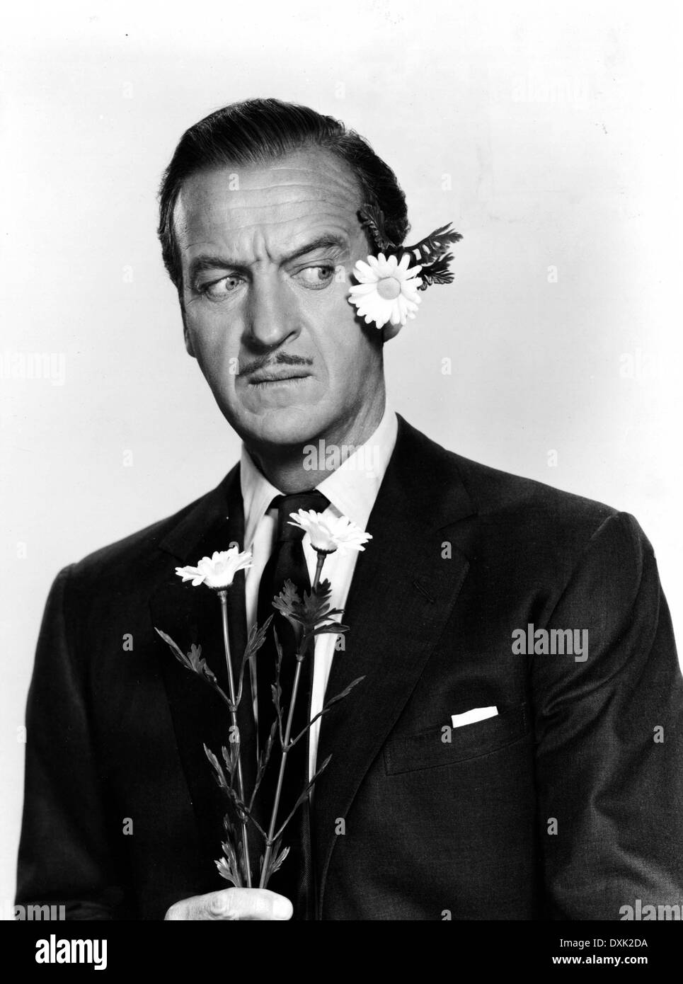 Dont eat me Black and White Stock Photos & Images - Alamy