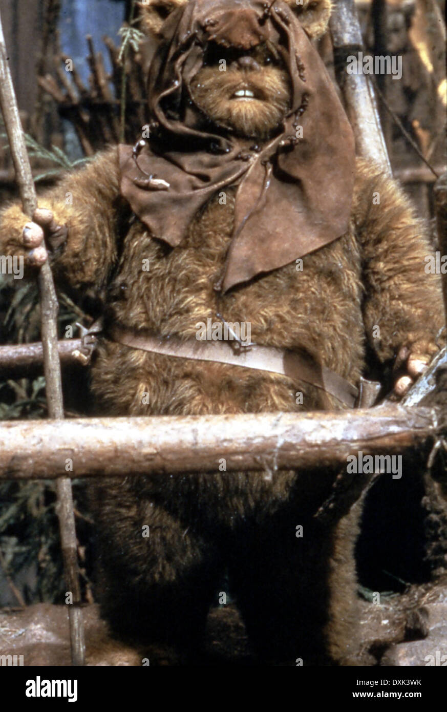 RETURN OF THE JEDI aka STAR WARS EPISODE VI - RETURN OF THE Stock Photo ...