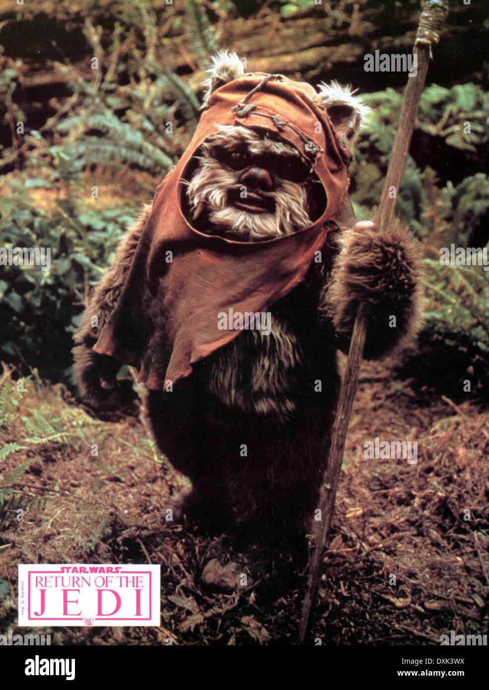 Star Wars Return Of The Jedi Ewoks