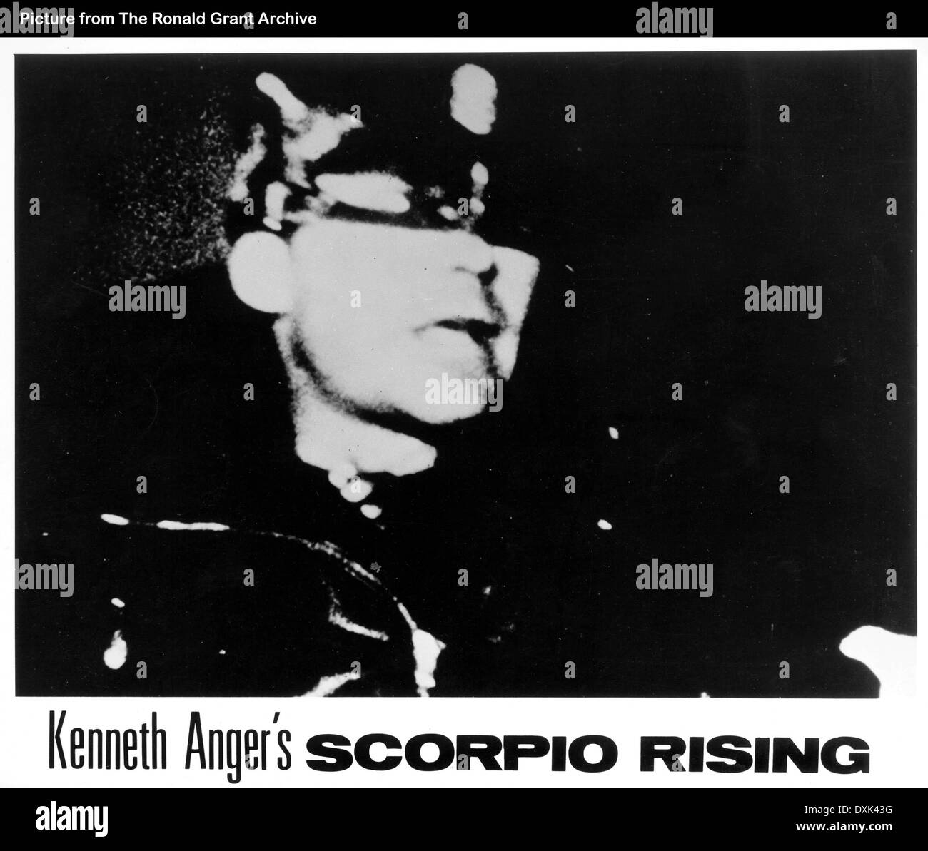 Scorpio hi-res stock photography and images - Alamy