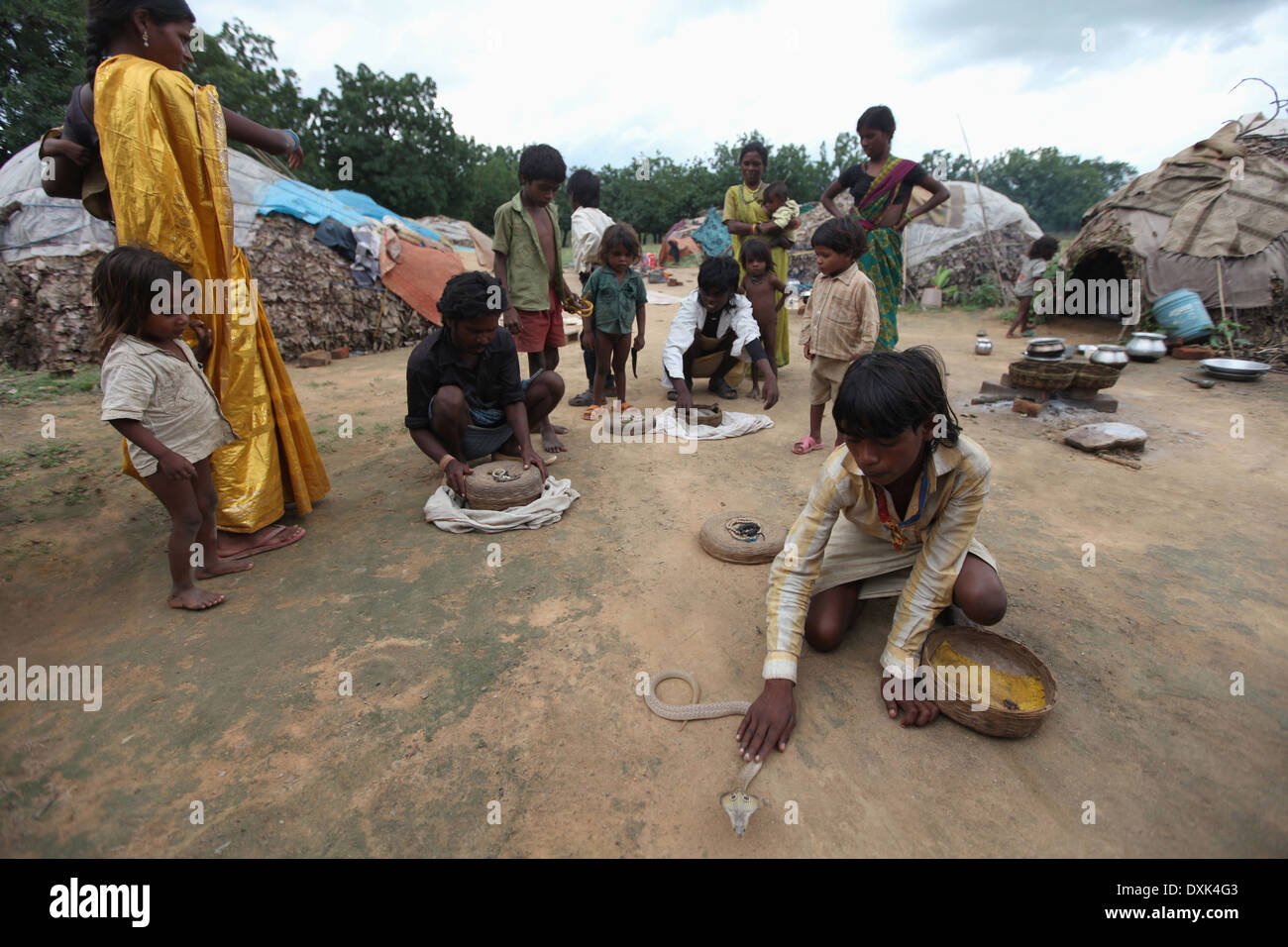 Tribal man and children handling snakes. Musahar or Bhuija tribe ...