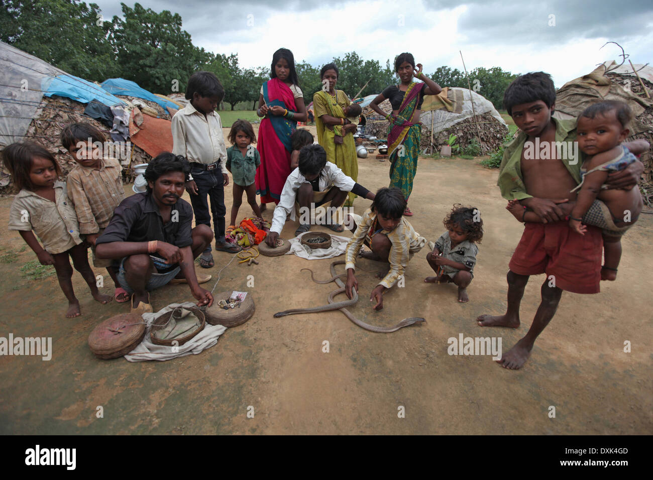 Man holding snakes hi-res stock photography and images - Alamy