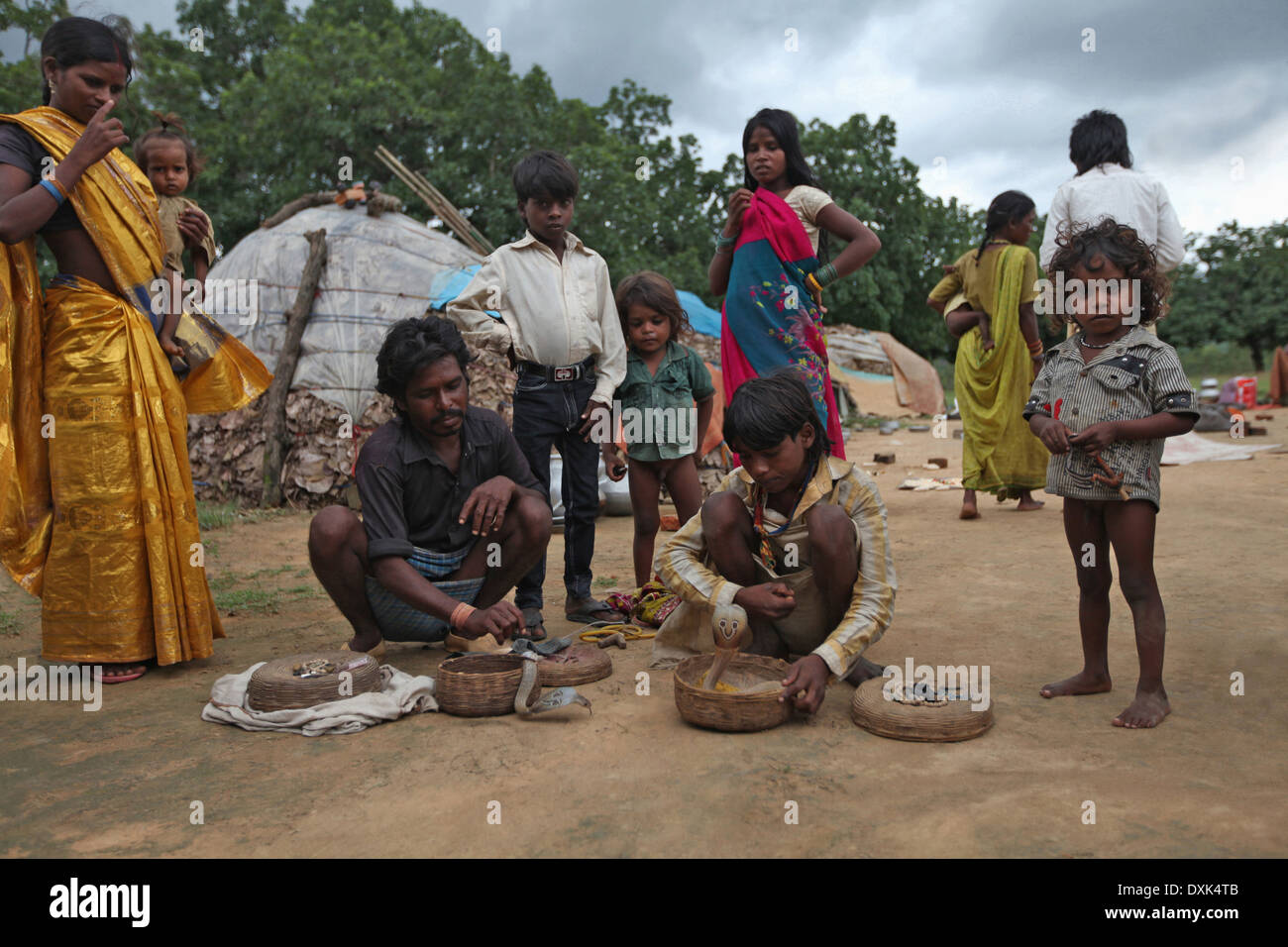 Tribal man and children handling snakes. Musahar or Bhuija tribe ...