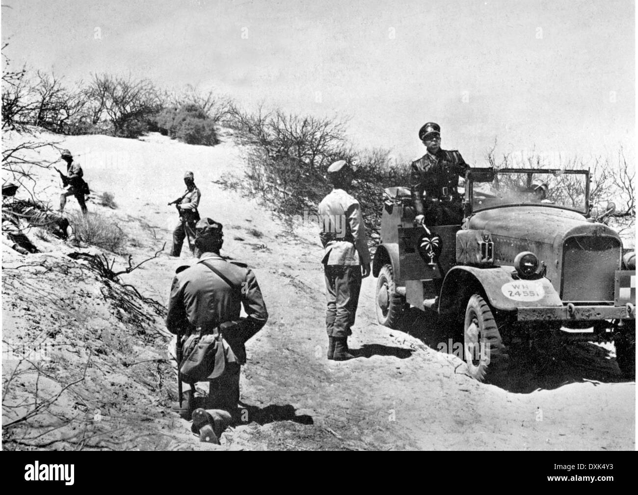 Rommel desert fox hi-res stock photography and images - Alamy