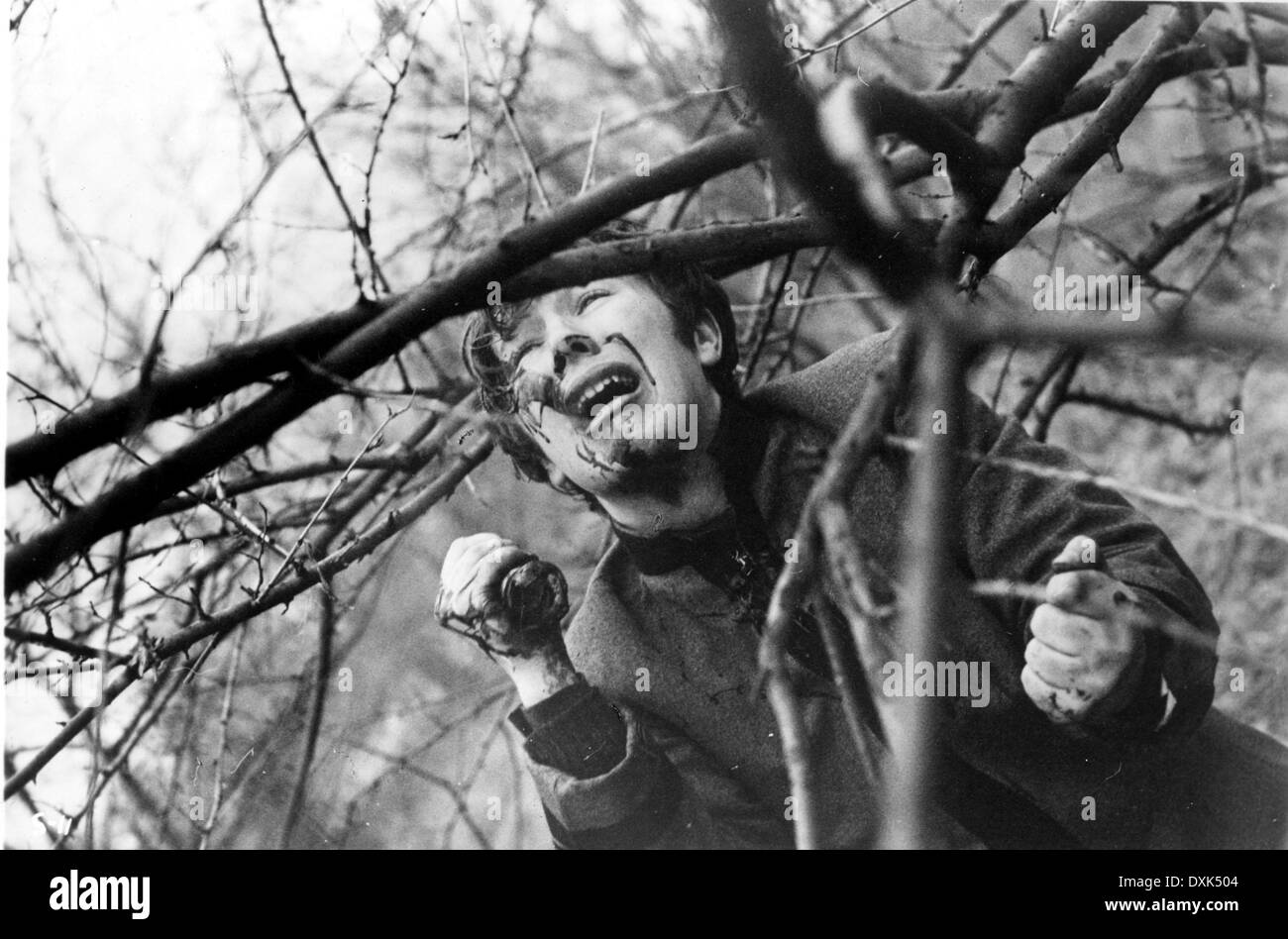 Distributing seeds hi-res stock photography and images - Alamy