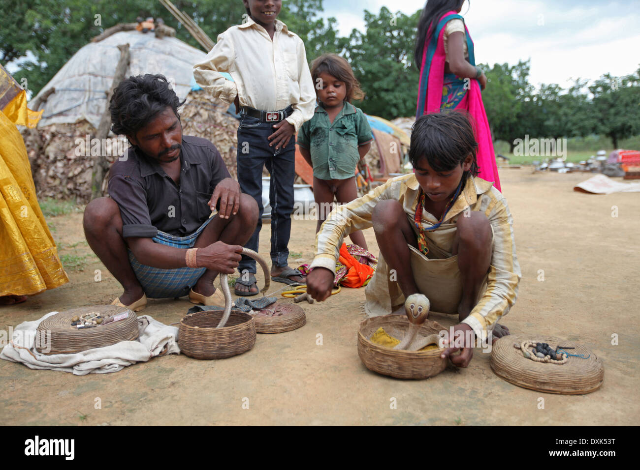 Tribal man and children handling snakes. Musahar or Bhuija tribe ...