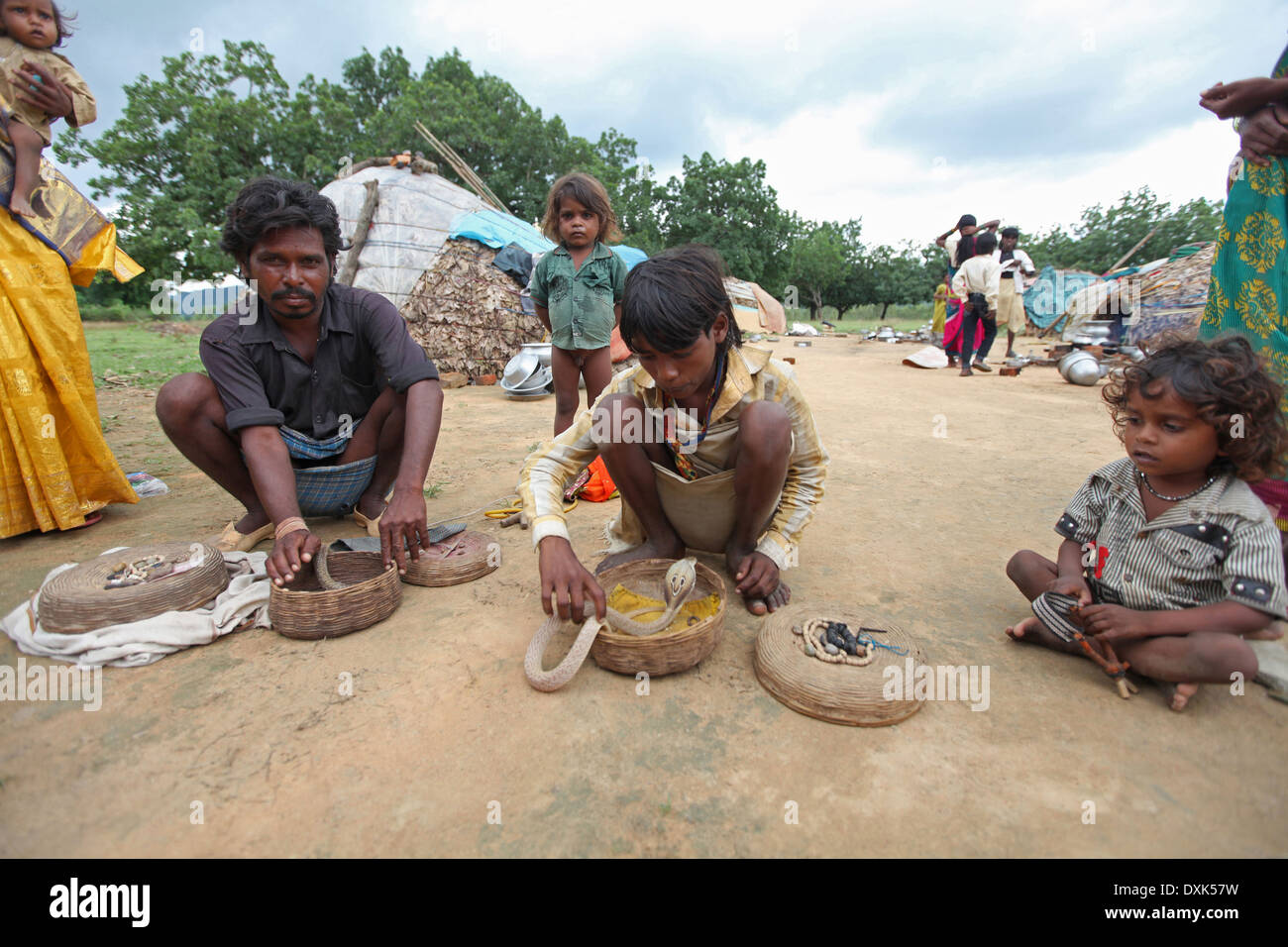 Tribal man and children handling snakes. Musahar or Bhuija tribe ...