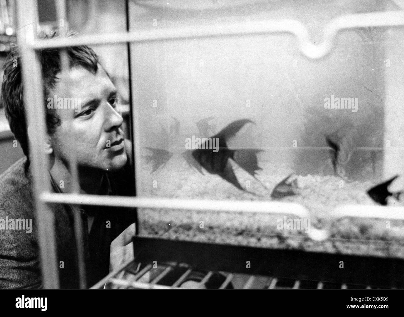 Rumble fish mickey rourke hi-res stock photography and images - Alamy