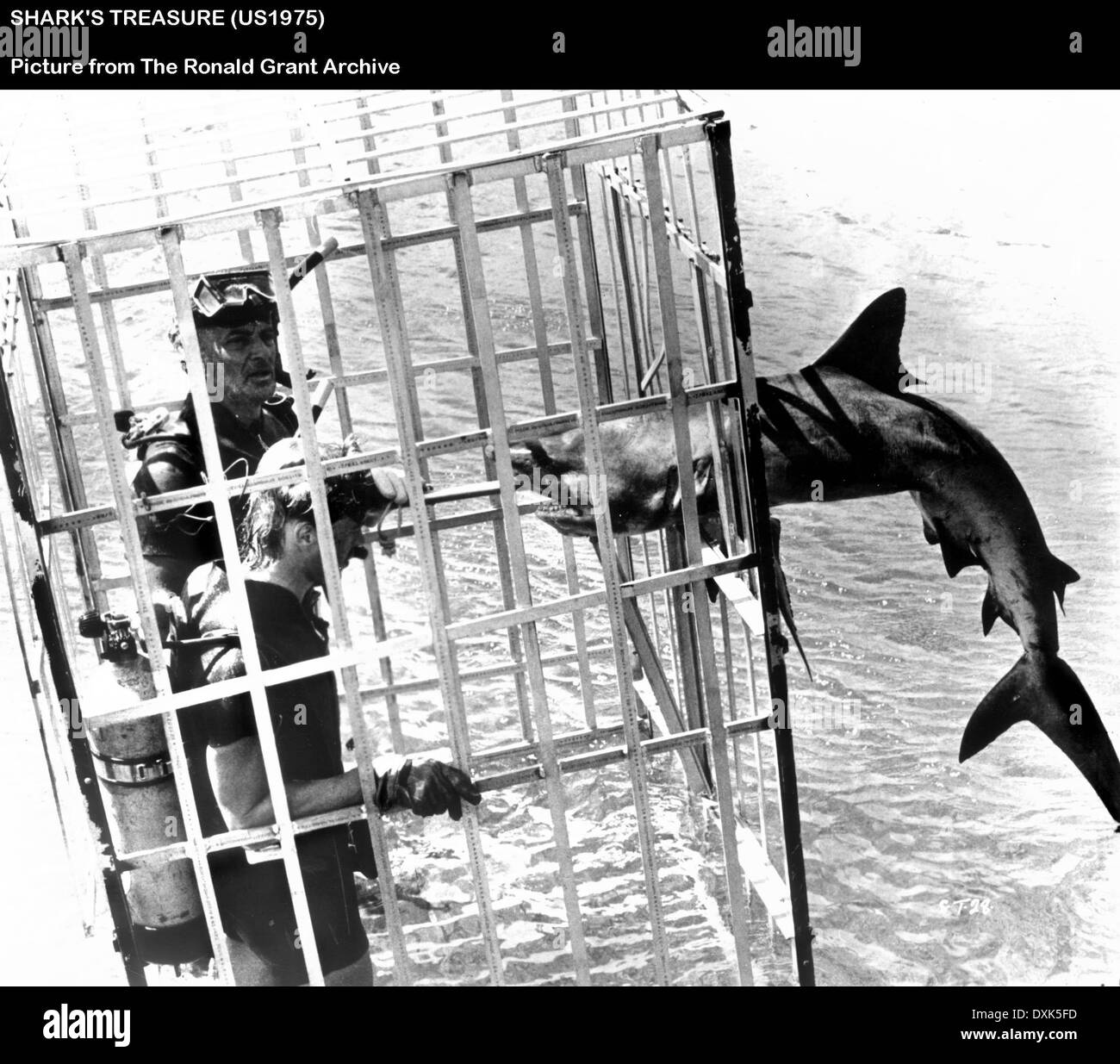 Sharks treasure hi-res stock photography and images - Alamy