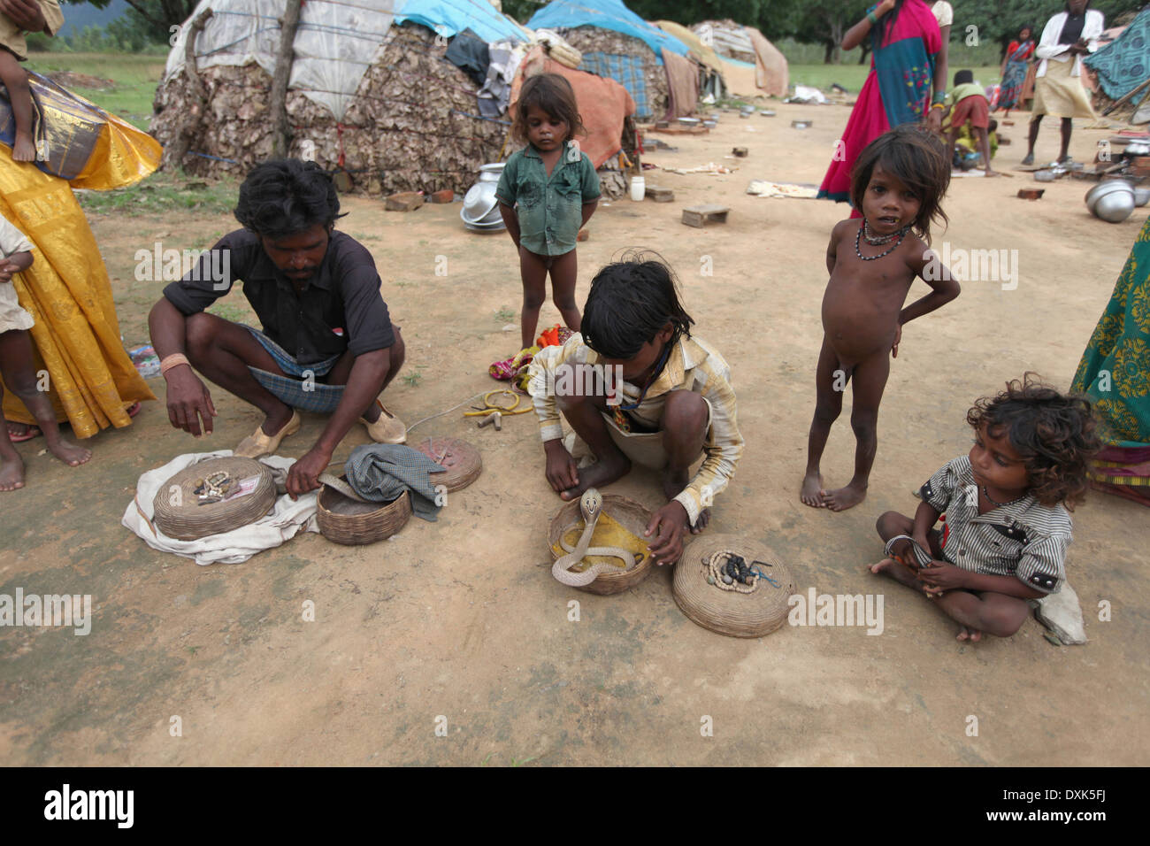 Snake handling demonstration hi-res stock photography and images - Alamy