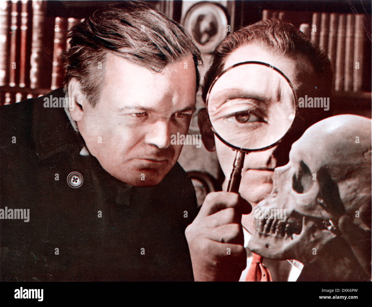 Skull hi-res stock photography and images - Alamy