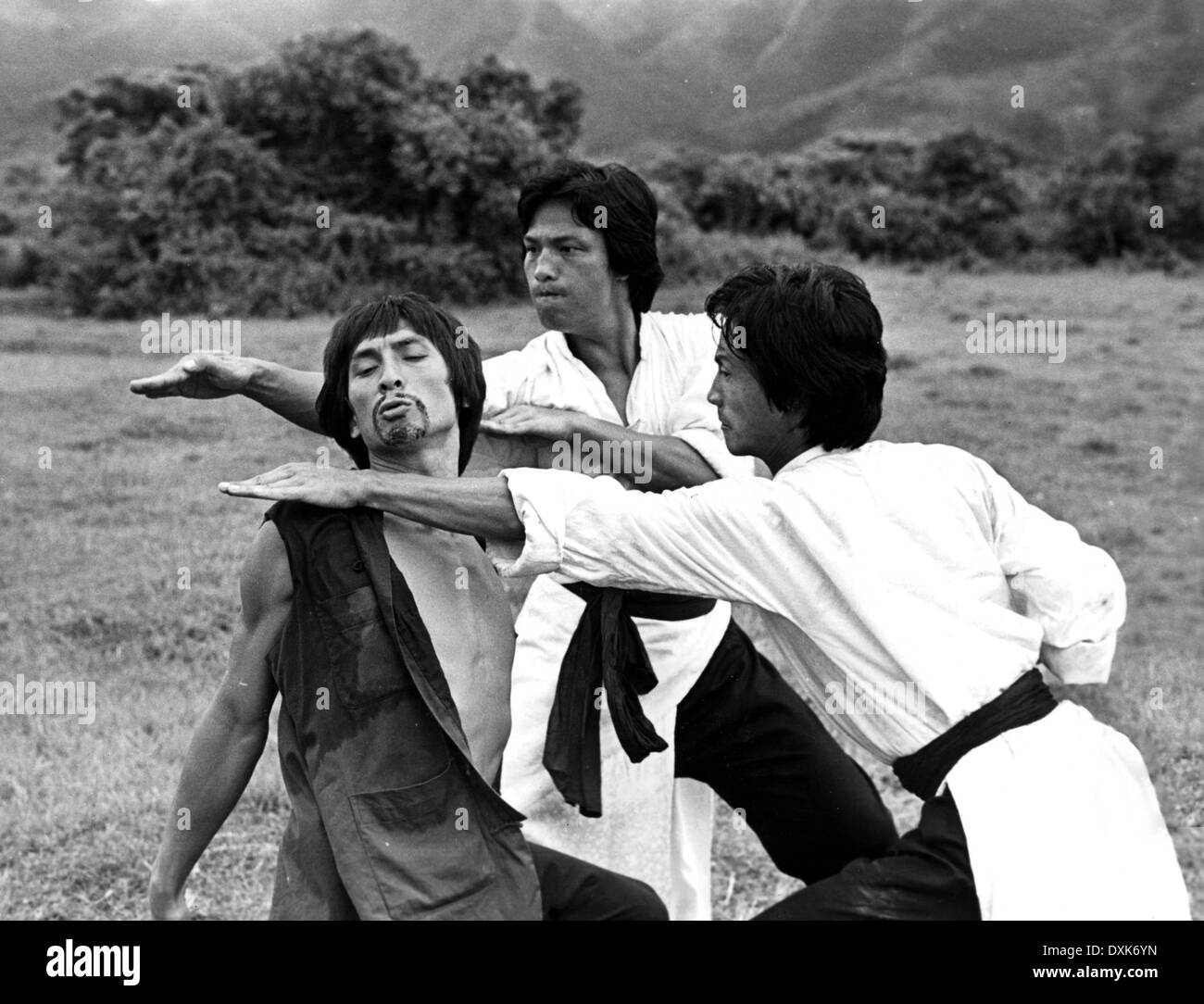 SNAKE IN THE MONKEY'S SHADOW Stock Photo - Alamy