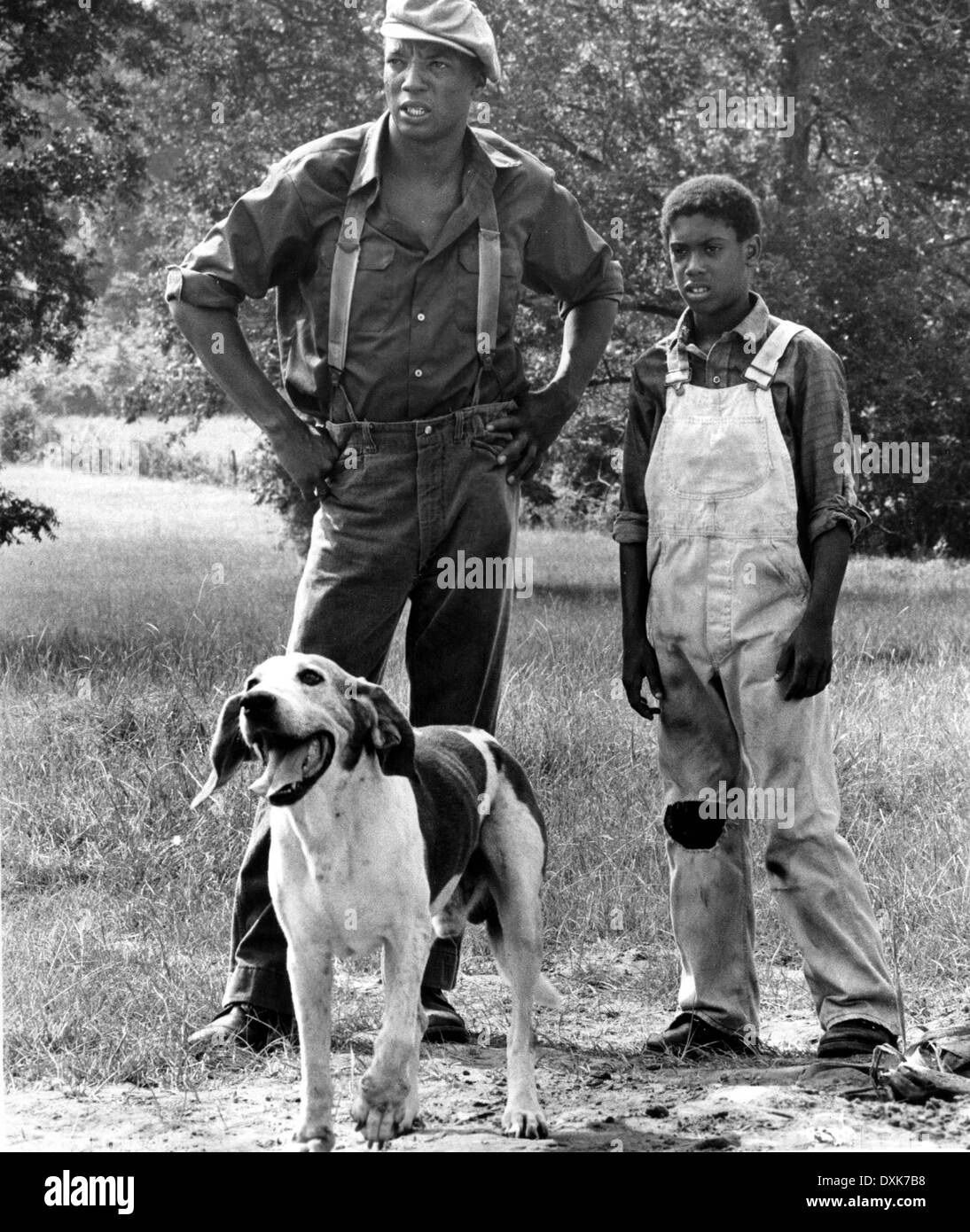 Sounder hi-res stock photography and images - Alamy