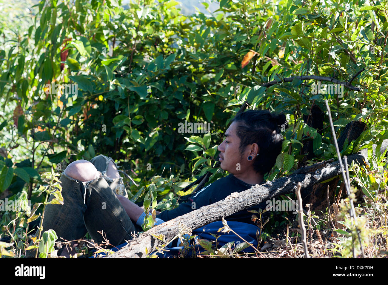Mahout elephant handler lies in the village cornfield sleeping. Huay ...