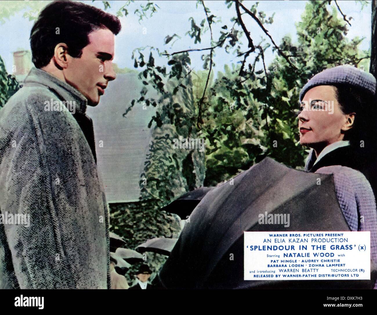 SPLENDOR IN THE GRASS Stock Photo - Alamy