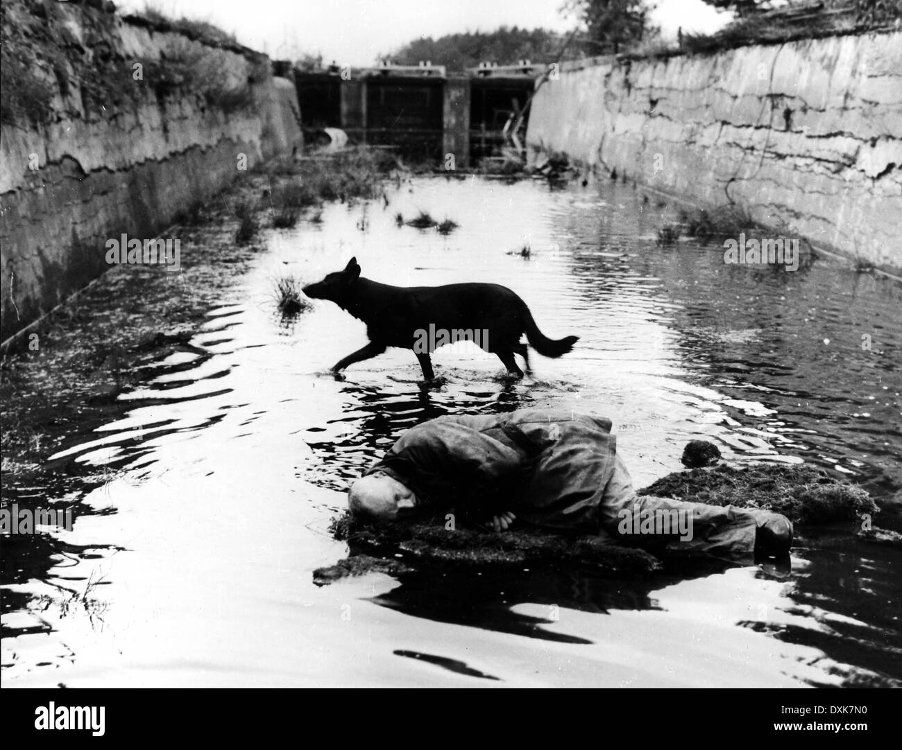 Aleksandr kaidanovsky stalker 1979 Black and White Stock Photos ...