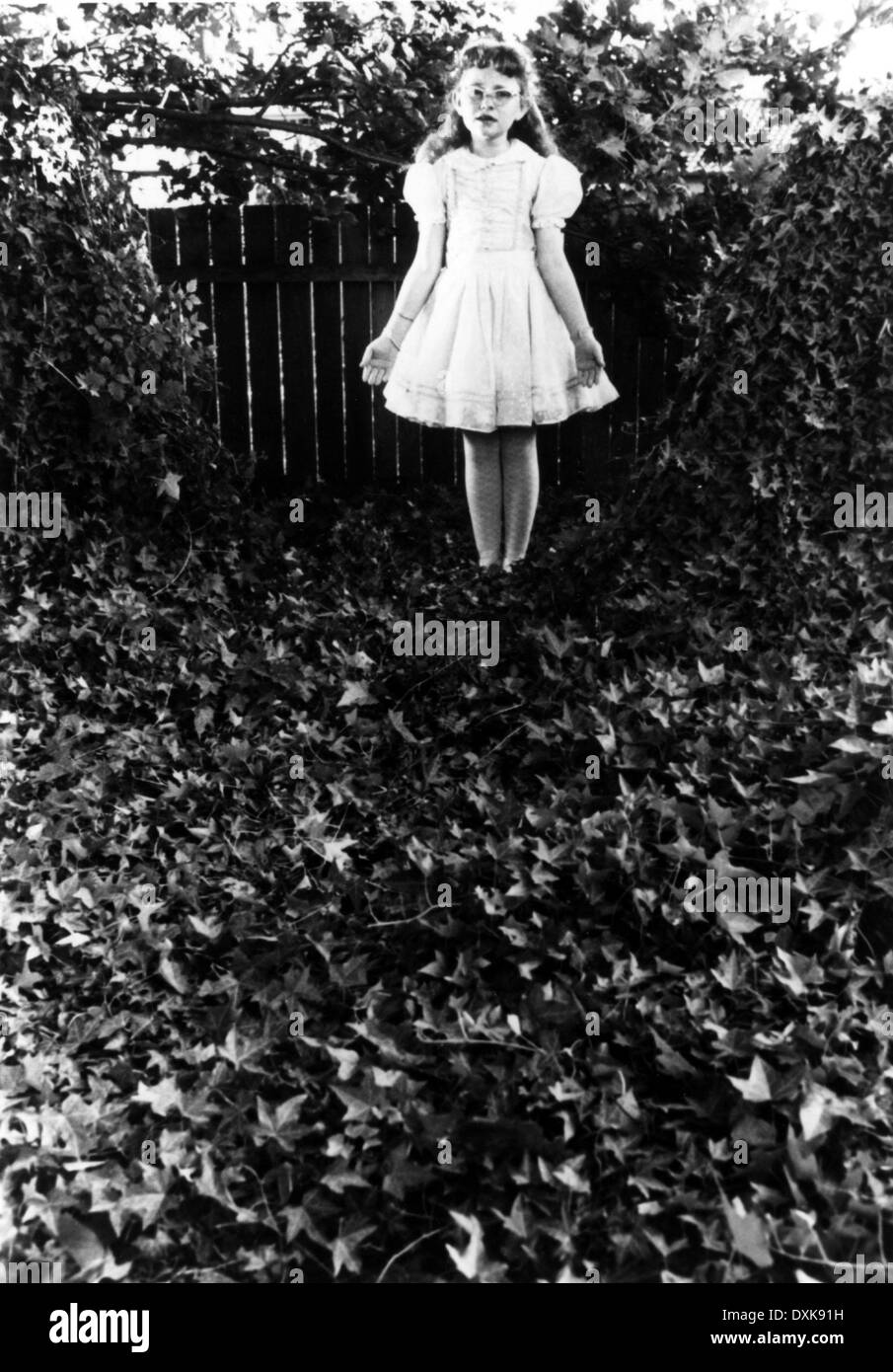 Sweetie film 1989 hi-res stock photography and images - Alamy