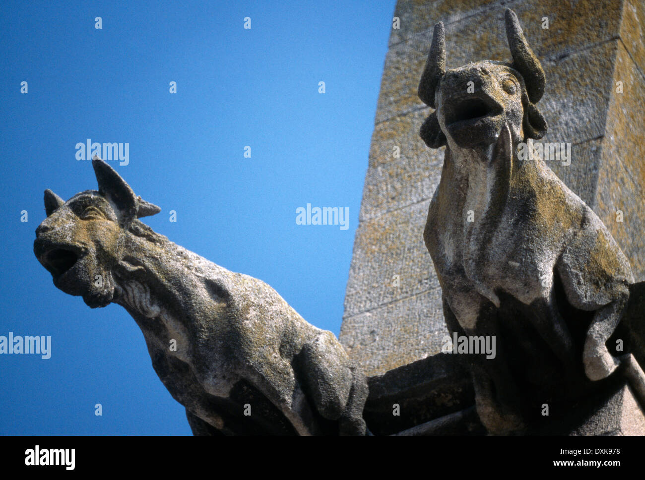 Avignon France Gargoyle - Temple Sant Martial Cows Stock Photo - Alamy