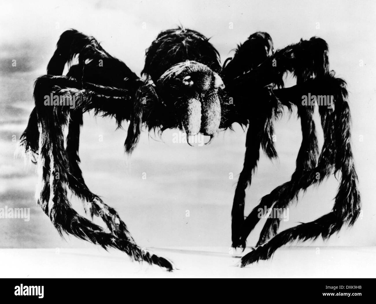 1955 tarantula Black and White Stock Photos & Images - Alamy
