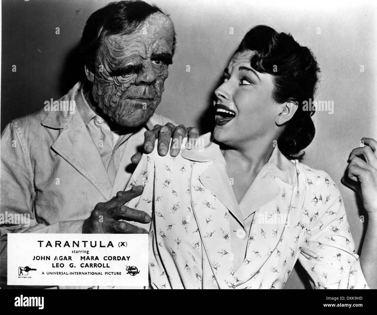 1955 tarantula hi-res stock photography and images - Alamy