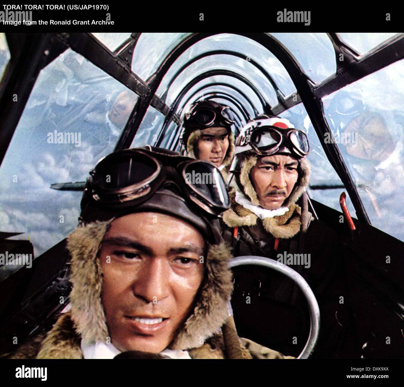 Tora hi-res stock photography and images - Alamy