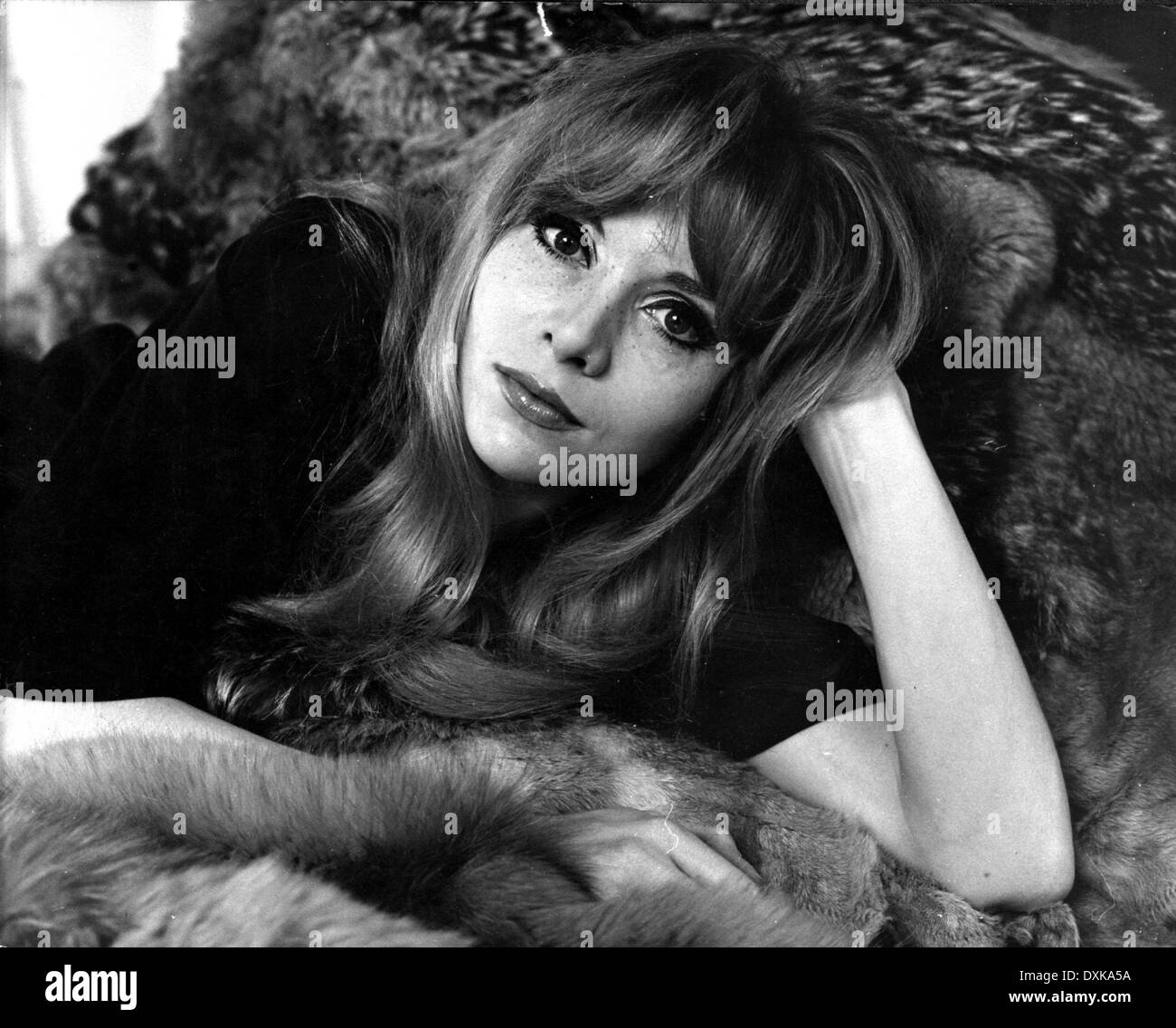 Judy huxtable hi-res stock photography and images - Alamy