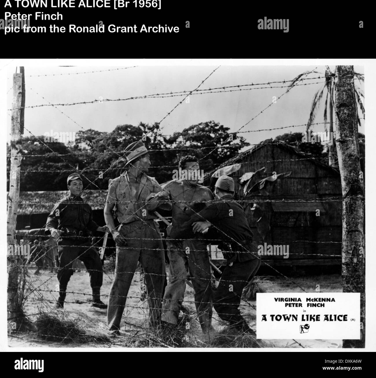 Like them Black and White Stock Photos & Images - Alamy