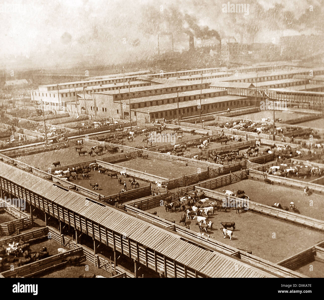 Union stock yards hi-res stock photography and images - Alamy