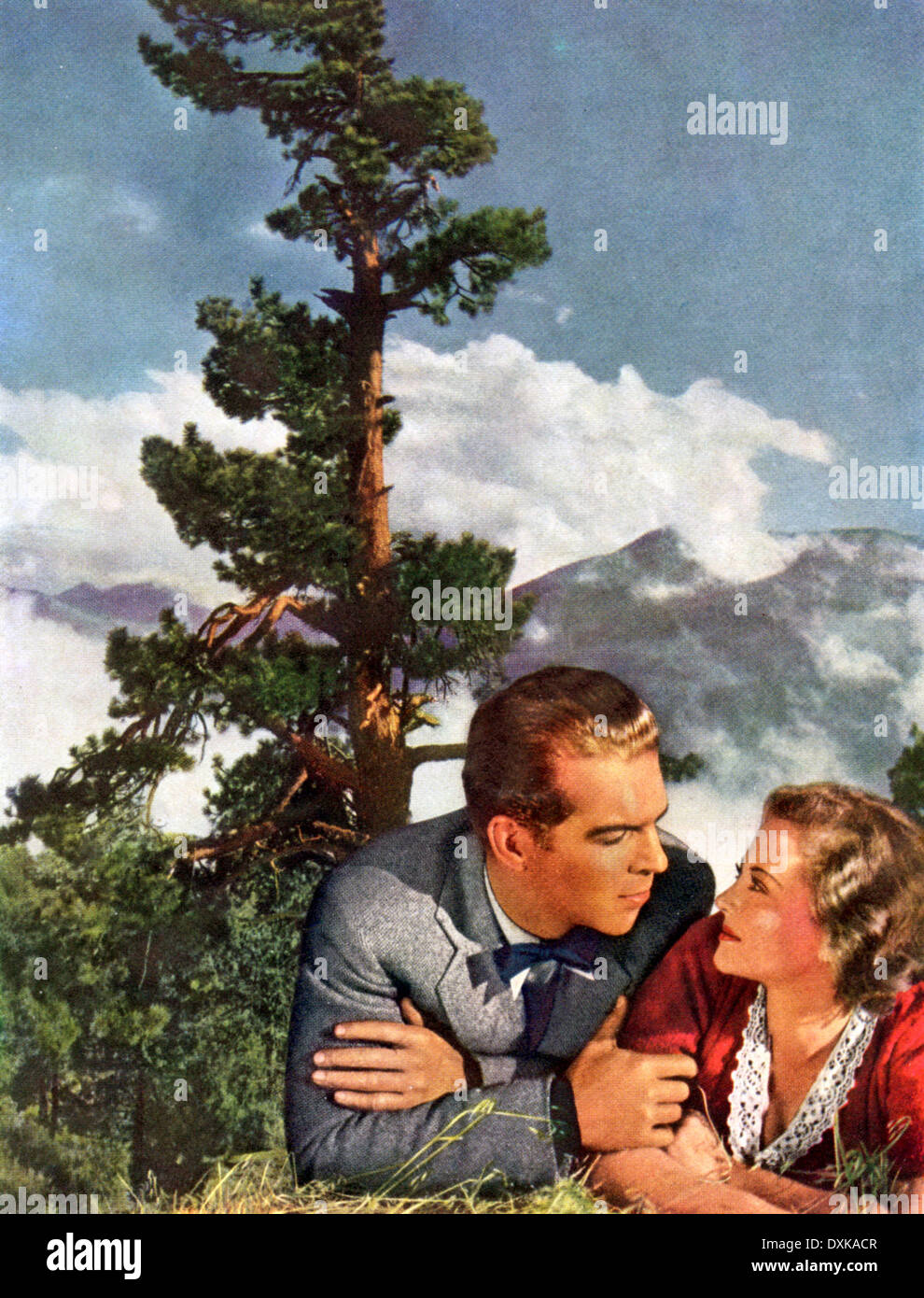 TRAIL OF THE LONESOME PINE Stock Photo - Alamy