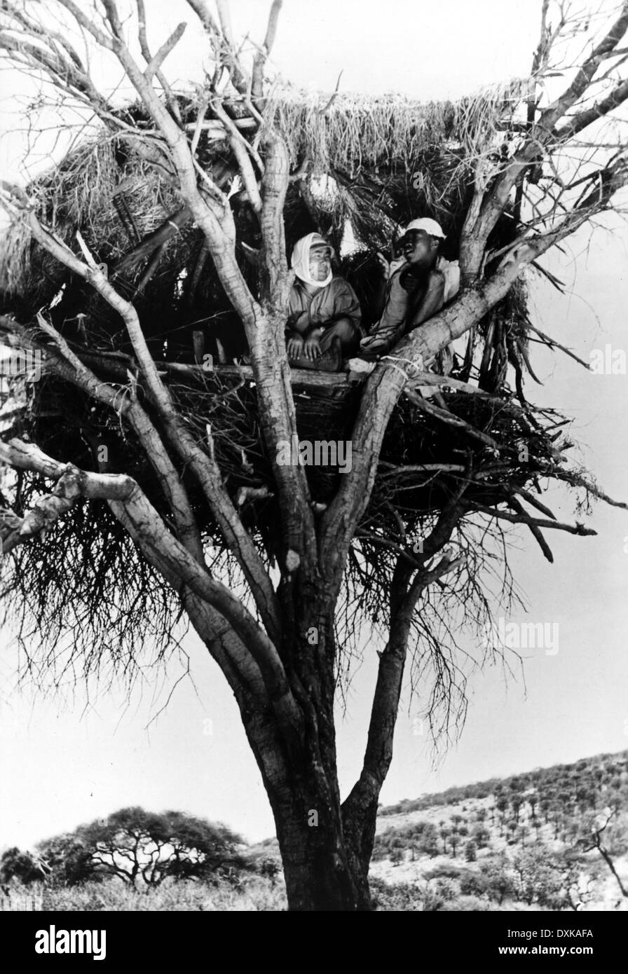 Toshi hi-res stock photography and images - Alamy