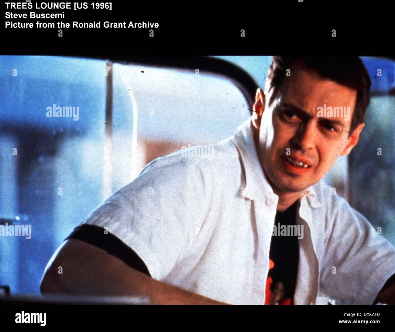 Trees lounge 1996 steve buscemi hi-res stock photography and images - Alamy