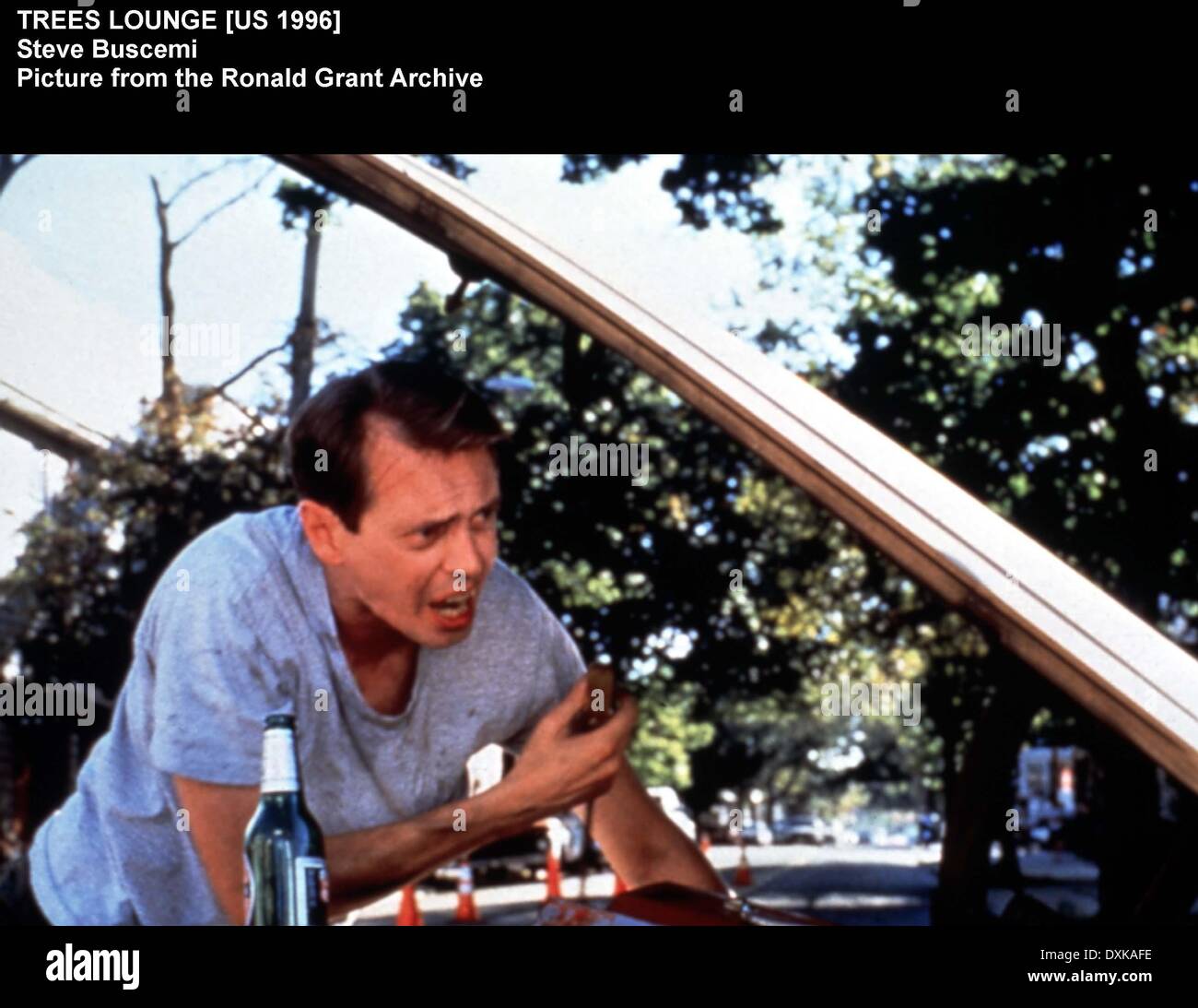 Trees lounge 1996 steve buscemi hi-res stock photography and images - Alamy