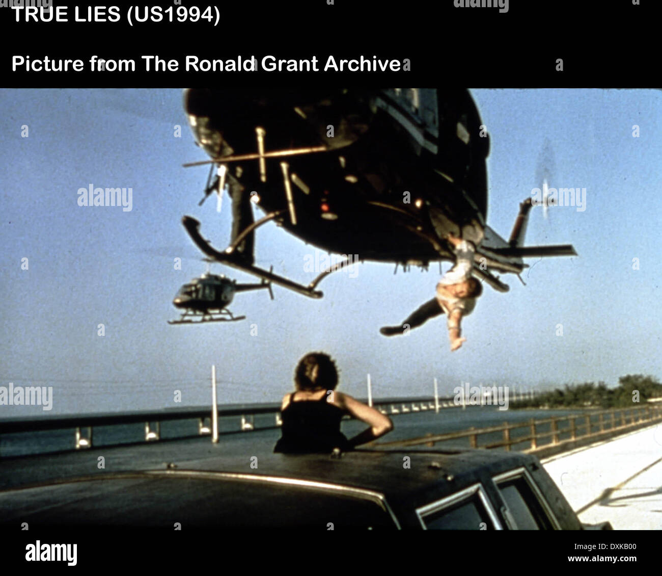 True lies hi-res stock photography and images - Alamy