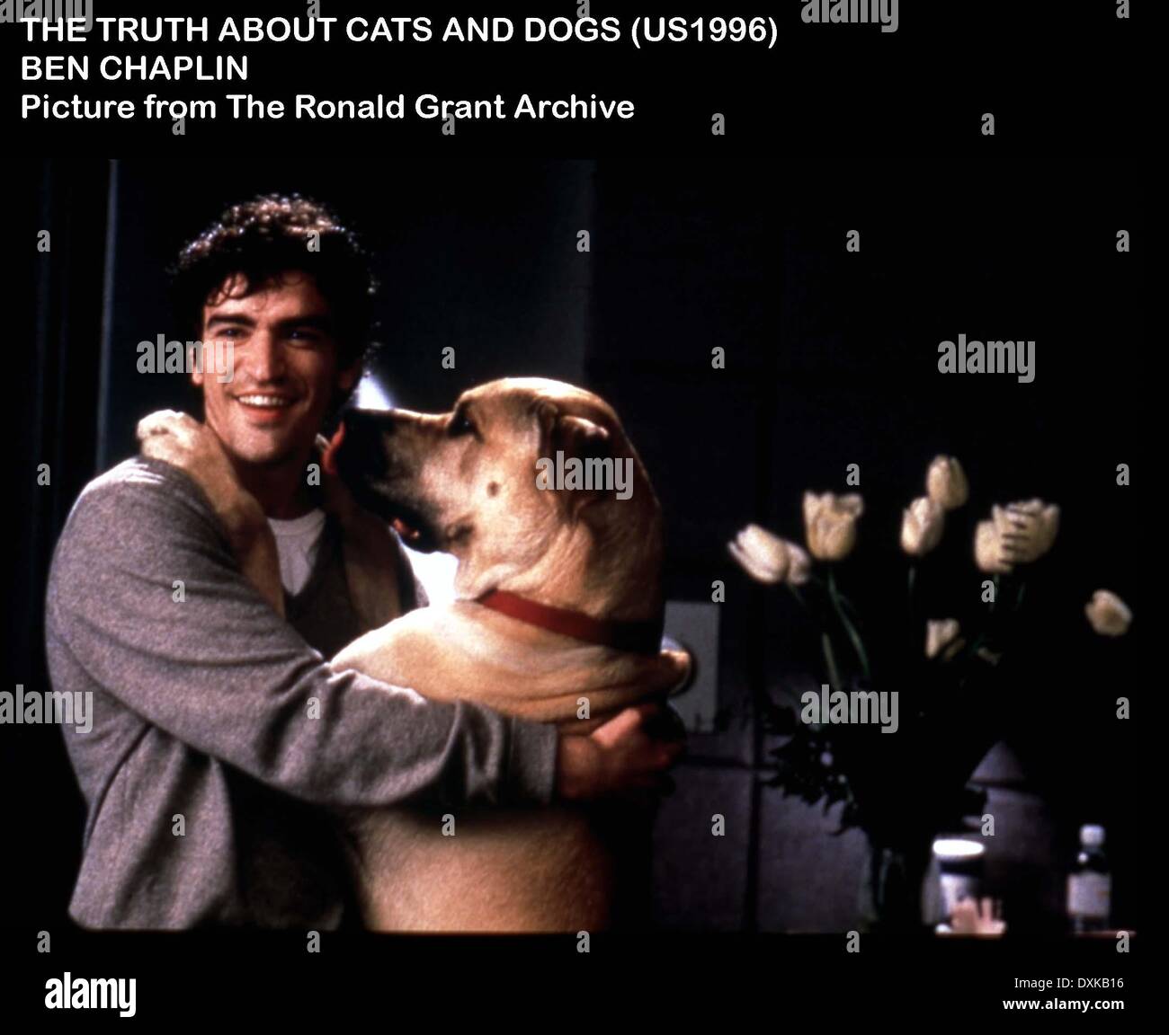 THE TRUTH ABOUT CATS AND DOGS Stock Photo - Alamy